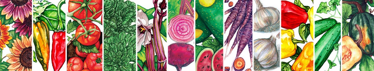 Guide to Growing Rice | Southern Exposure Seed Exchange