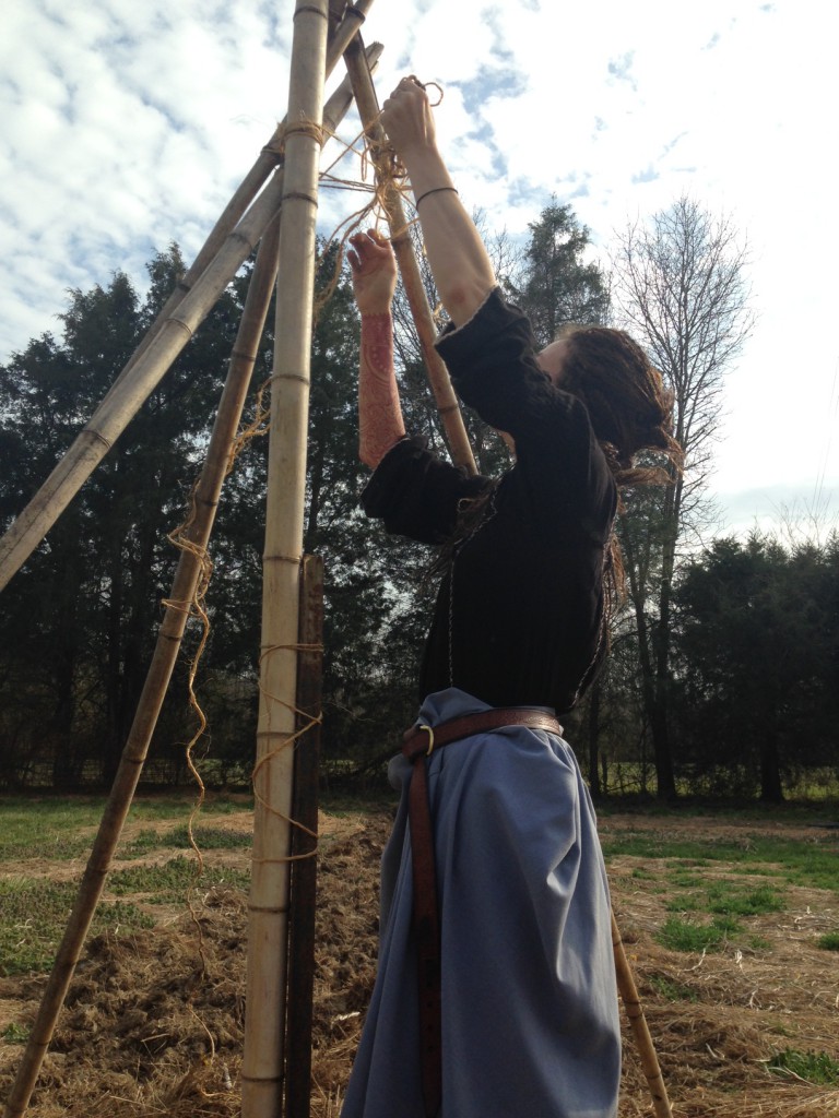 Easy Bamboo Bean Teepees | Southern Exposure Seed Exchange