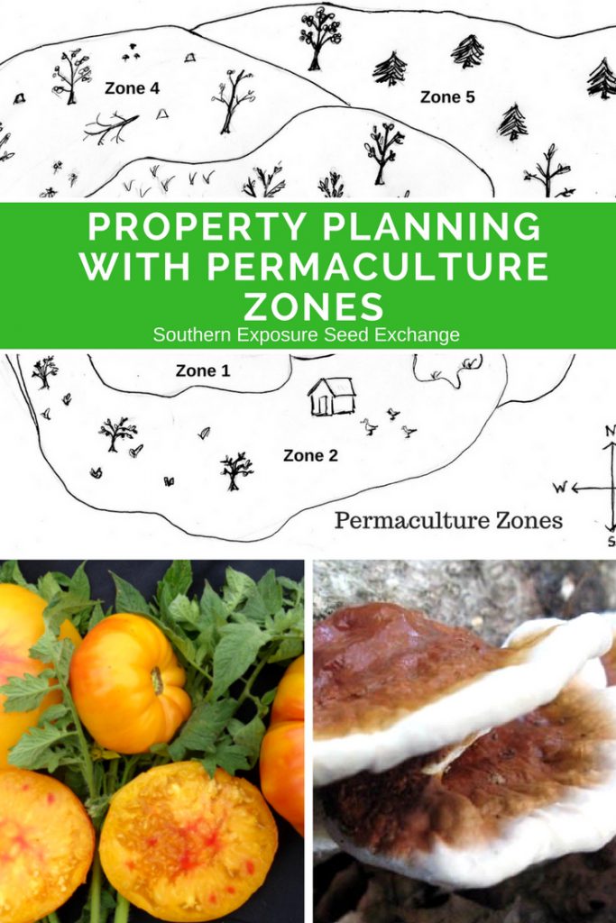 Property Planning with Permaculture Zones | Southern Exposure Seed Exchange