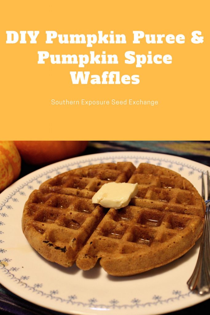 DIY Pumpkin Puree & Pumpkin Spice Waffles | Southern Exposure Seed Exchange