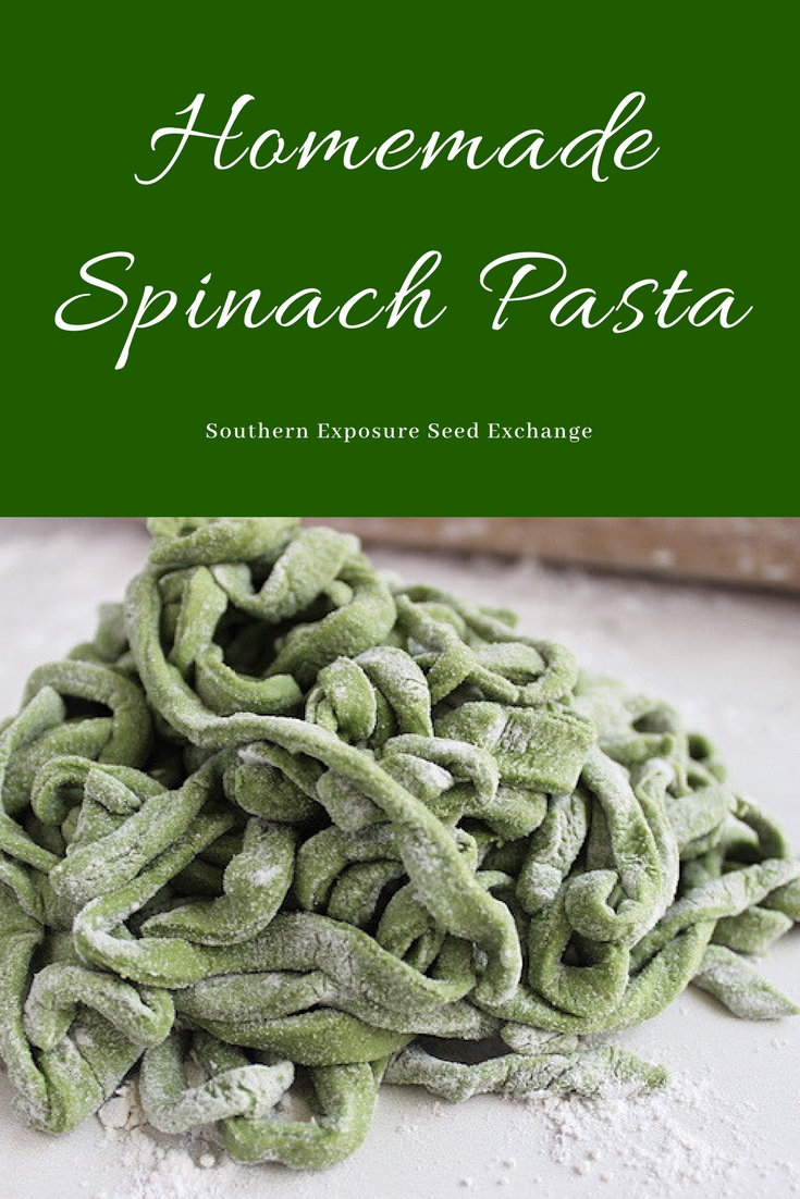 Homemade Spinach Pasta | Southern Exposure Seed Exchange