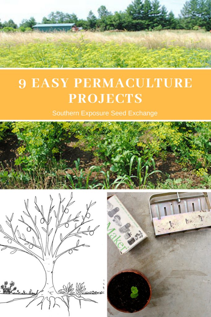 9 Easy Permaculture Projects | Southern Exposure Seed Exchange