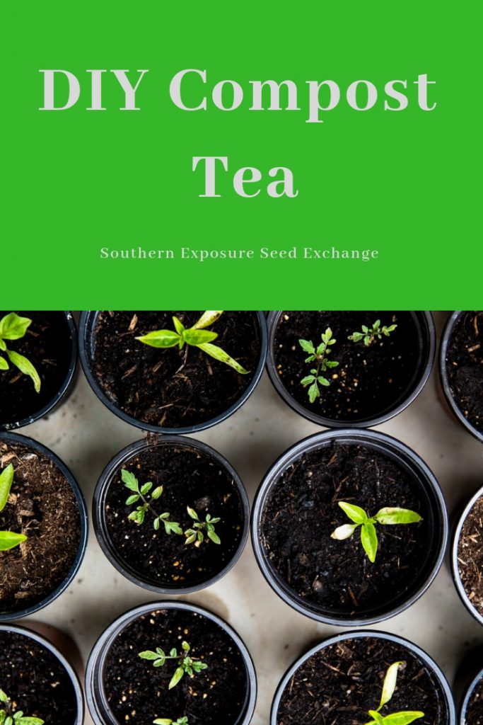 DIY Compost Tea | Southern Exposure Seed Exchange