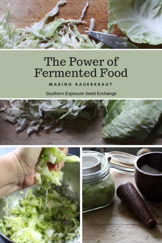 The Power of Fermented Foods: Making Sauerkraut | Southern Exposure ...