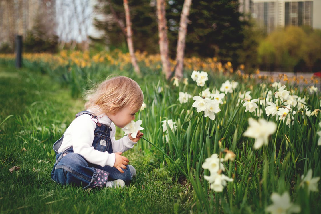 Spring Garden Activities for Kids | Southern Exposure Seed Exchange