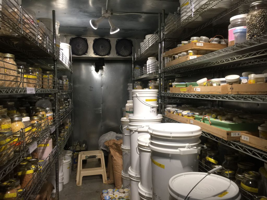 Seeds, Small Farms, and Resiliency: The Story of SESE Seeds | Southern ...