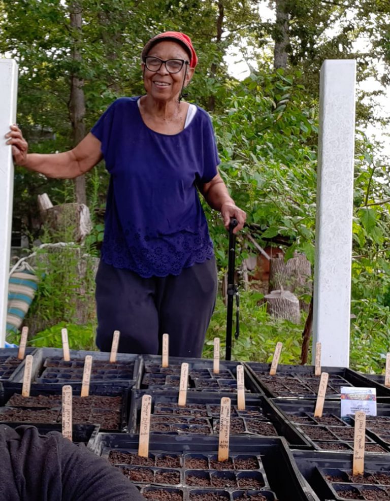 2020 Collard Week | Southern Exposure Seed Exchange