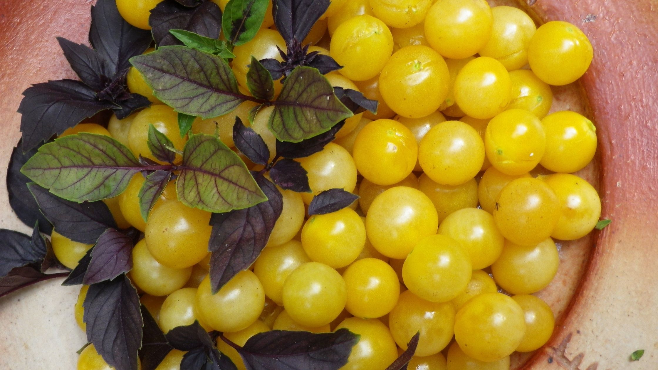 Seed To Plate Cherry Tomatoes Southern Exposure Seed Exchange