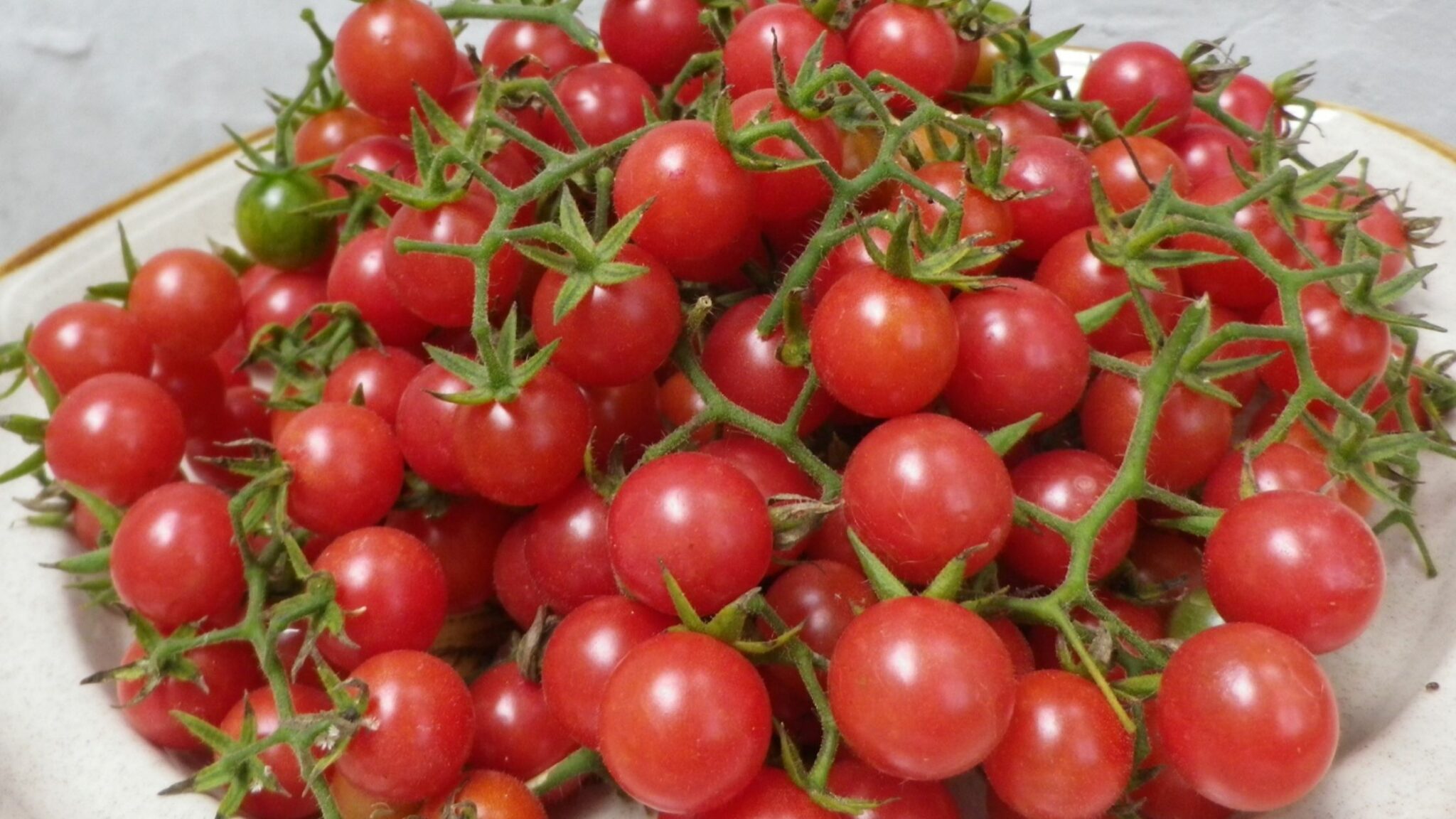 10 Mini Vegetables You’ll Adore | Southern Exposure Seed Exchange