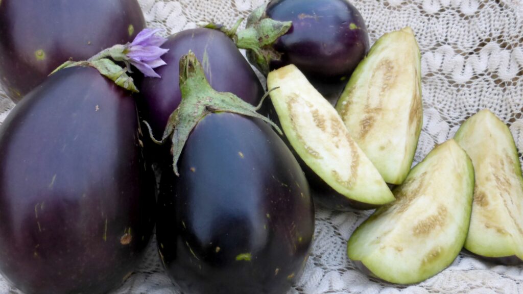 10 Mini Vegetables You’ll Adore | Southern Exposure Seed Exchange