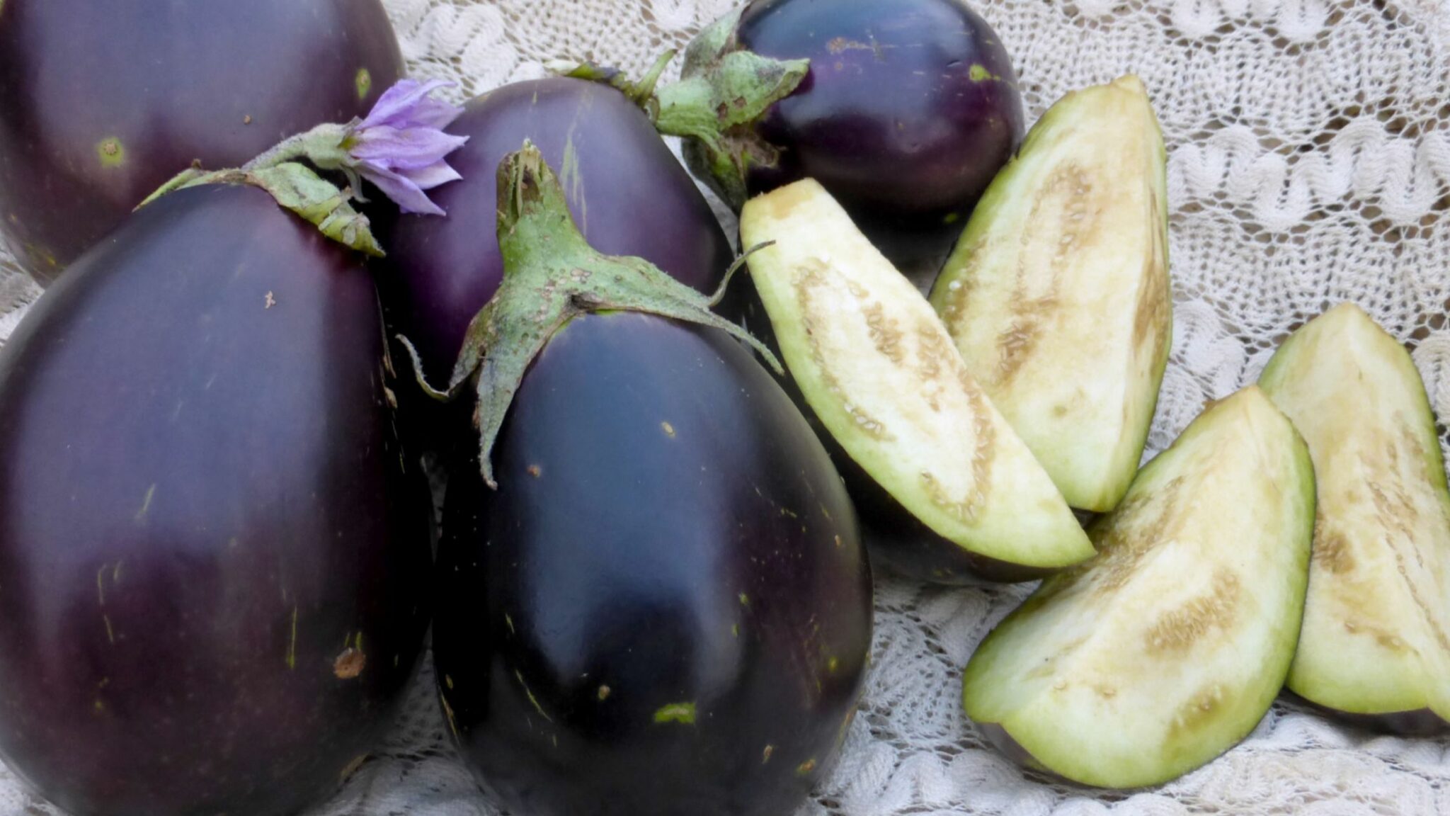 10 Mini Vegetables You’ll Adore | Southern Exposure Seed Exchange