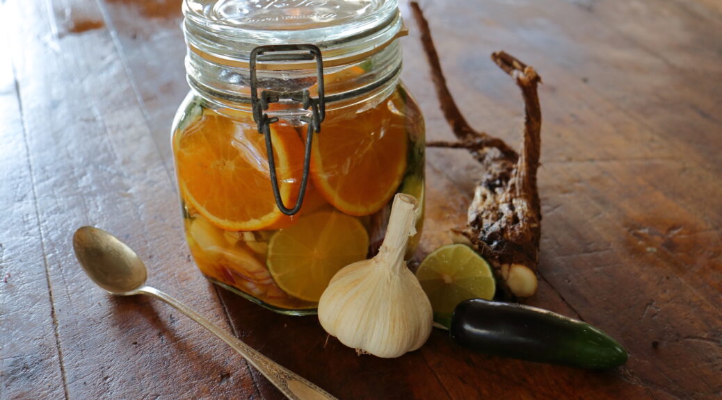 Fire Cider: An Herbal Tradition | Southern Exposure Seed Exchange