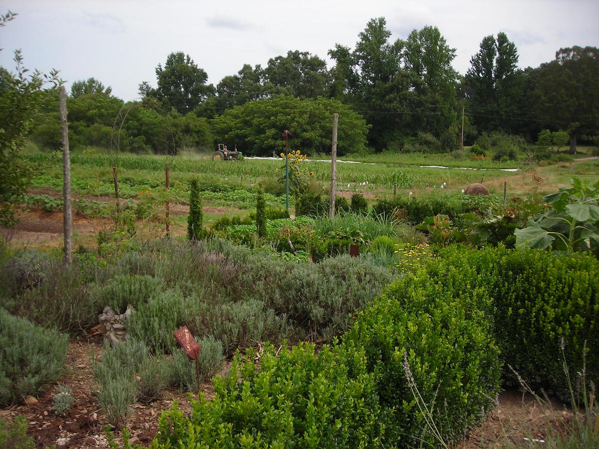 Herb Garden: Spring Maintenance | Southern Exposure Seed Exchange