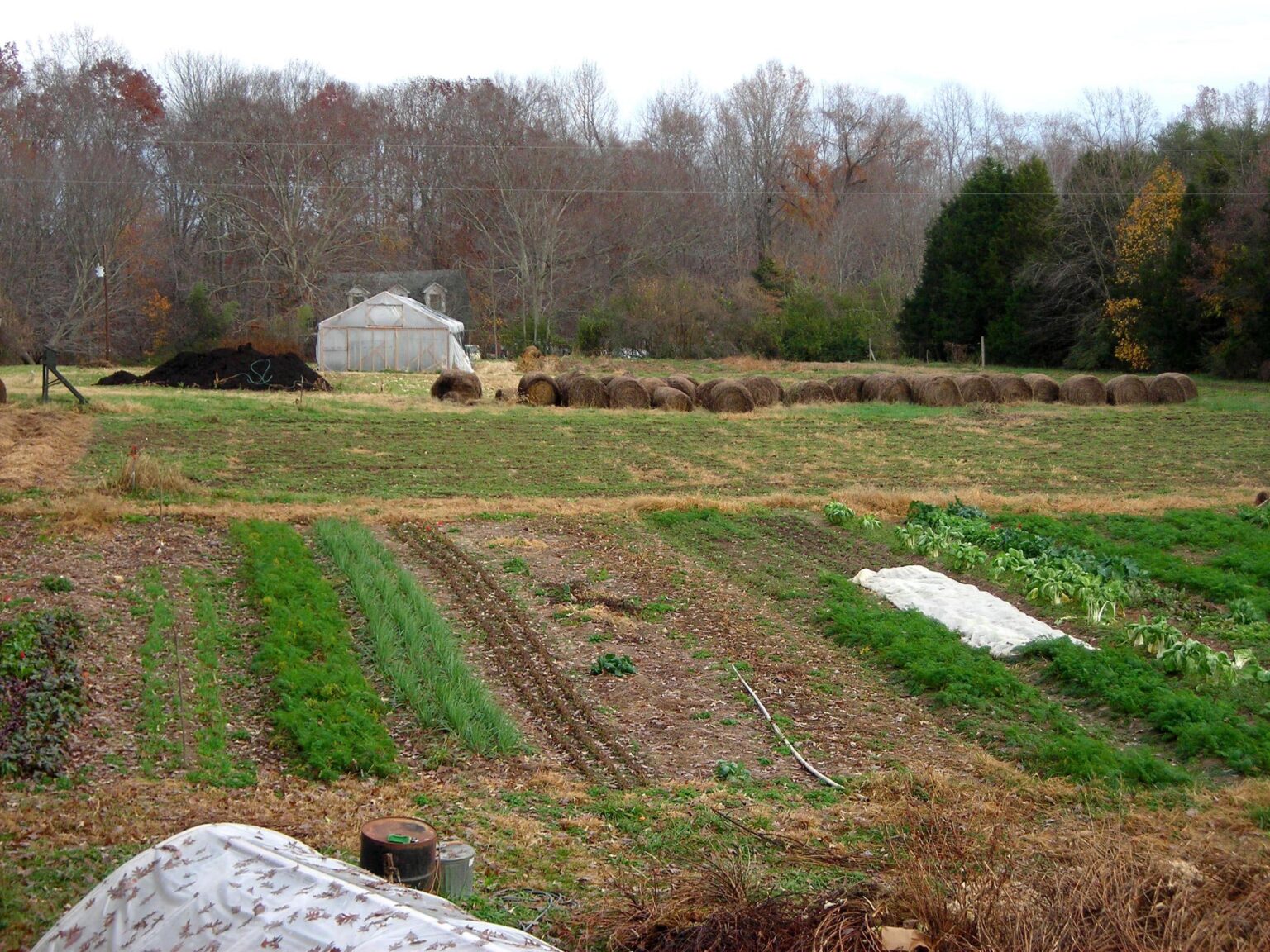 Fall Garden Clean-Up: Prepare Your Soil for Spring | Southern Exposure ...