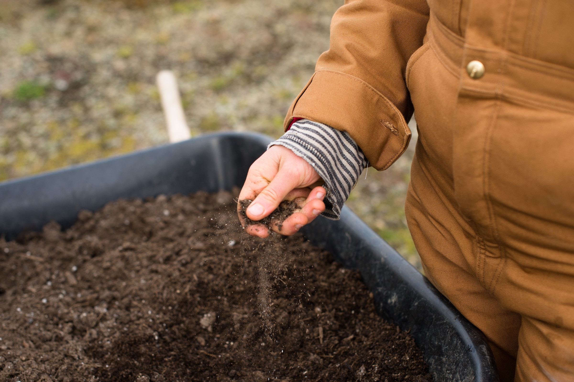 Fall Garden Clean-Up: Prepare Your Soil for Spring | Southern Exposure ...