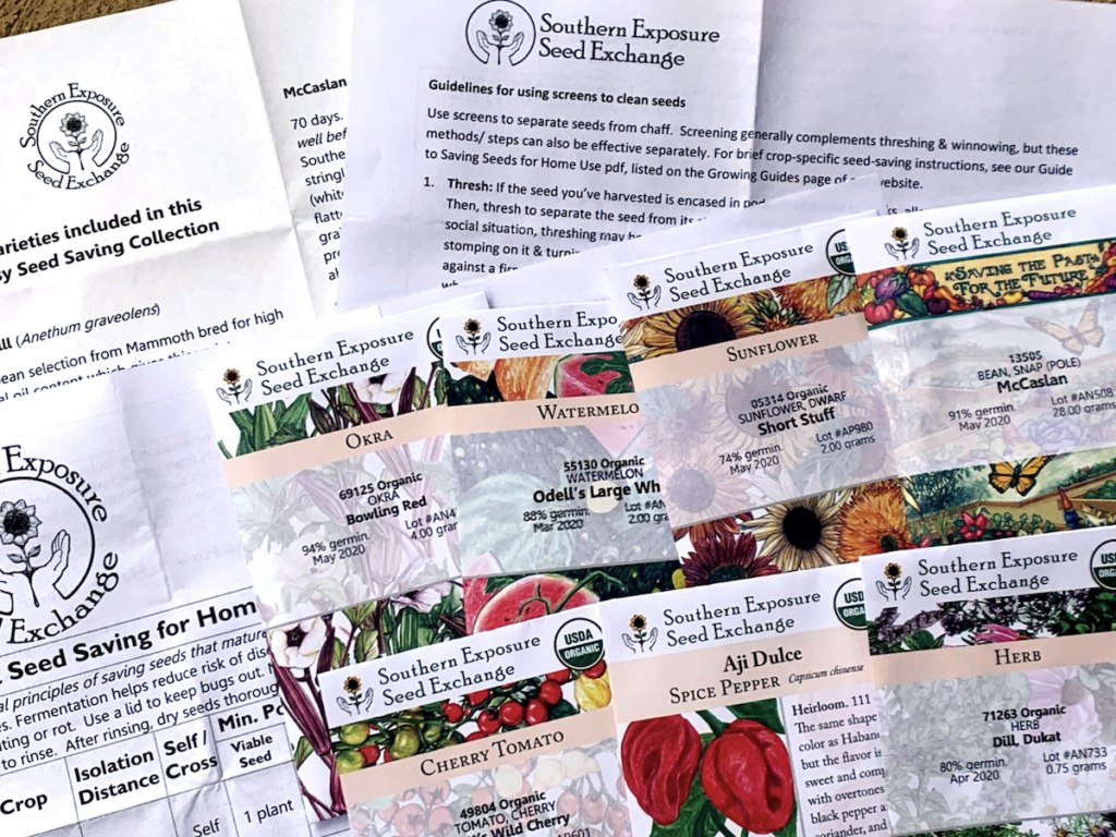 5 Essential Winter Garden Chores | Southern Exposure Seed Exchange