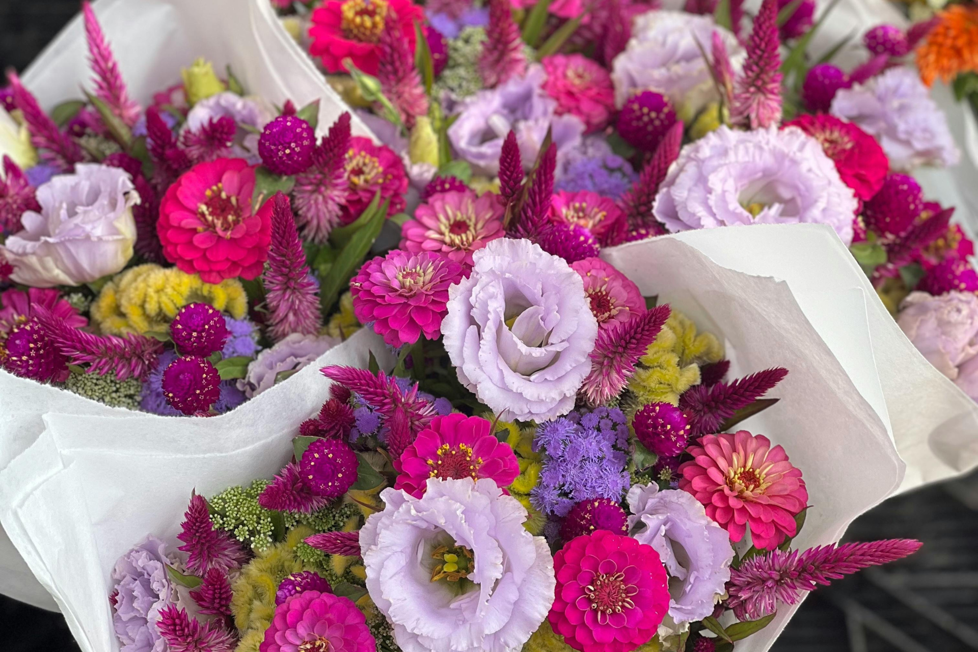 Market Garden: How to Get Started with Cut Flowers | Southern Exposure ...